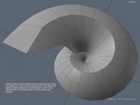 Shell GIF - Find on GIFER