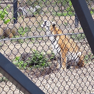 Bending GIF - Find on GIFER