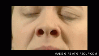 Smell GIF - Find on GIFER