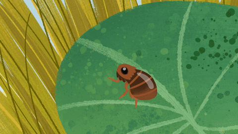Cant help GIF - Find on GIFER