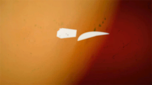 Lifetime witches of east end lifetime tv GIF - Find on GIFER