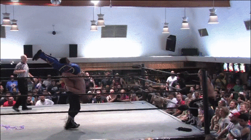 Pwg GIF - Find on GIFER