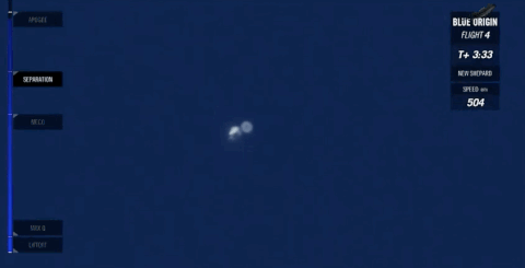 Shepard GIF - Find on GIFER