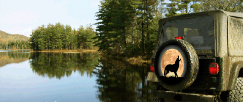 Covers GIF - Find on GIFER