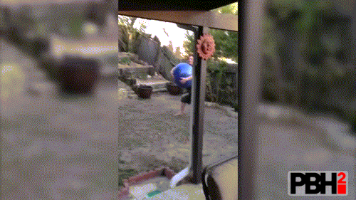 Nevermind Animated Gif Nevermind GIF - Find & Share on GIPHY
