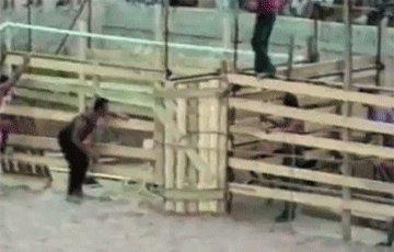 Freedom GIF - Find on GIFER
