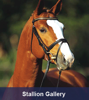 Performance GIF - Find on GIFER