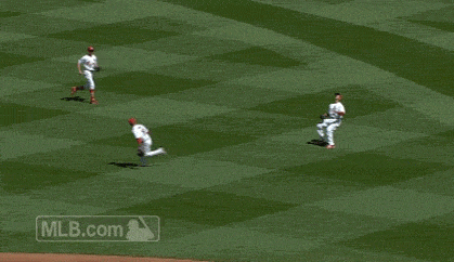 GIF mlb major league baseball - animated GIF on GIFER
