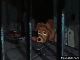 GIF lady and the tramp - animated GIF on GIFER