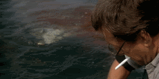 Jaws GIF - Find on GIFER