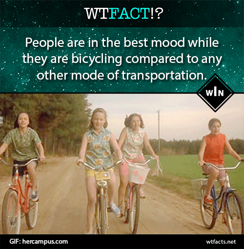 Follow GIF - Find on GIFER