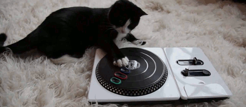 Disc jockey GIF - Find on GIFER