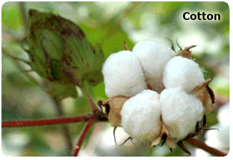 GIF our hospitality - animated GIF on GIFER