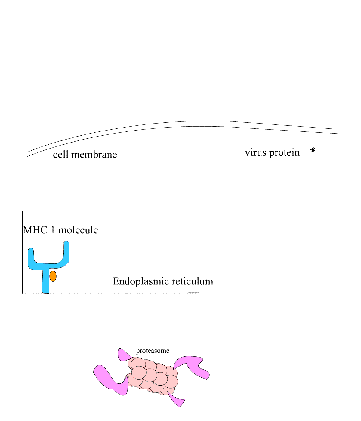 The cell GIF - Find on GIFER
