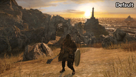 GIF dark souls 2 - animated GIF on GIFER