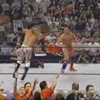 Wwf GIF - Find on GIFER