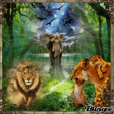 Animals GIF - Find on GIFER