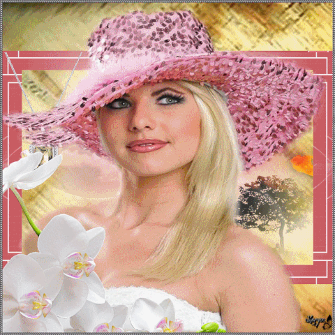 Tube GIF - Find on GIFER