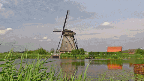 Dutch GIF - Find on GIFER