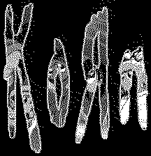 Korn GIF - Find on GIFER