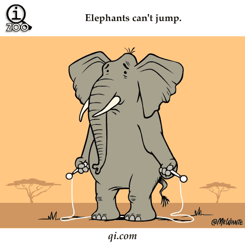 Animal facts fun facts GIF - Find on GIFER