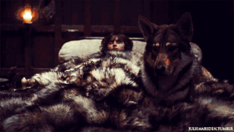 Bran stark GIF - Find on GIFER