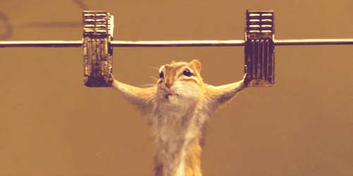 Enchanted GIF - Find on GIFER