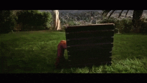 Video people GIF - Find on GIFER