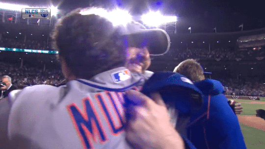 Sports 2015 mets GIF - Find on GIFER