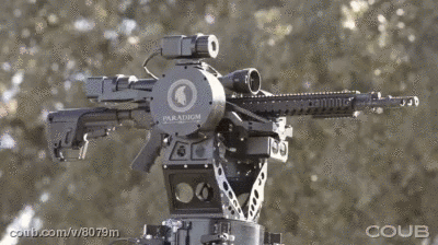 Remote Control Sniper Rifle