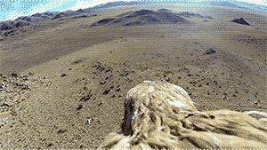 GIF crashing - animated GIF on GIFER