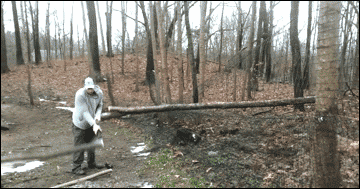 Fence GIF - Find on GIFER