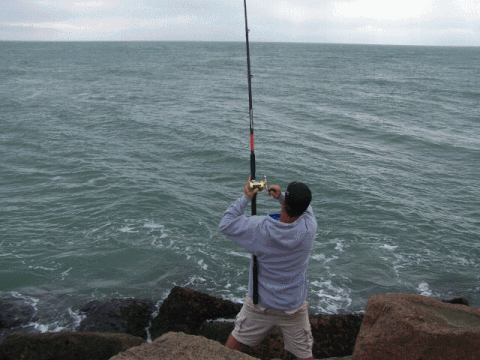 Fishing GIF - Find on GIFER