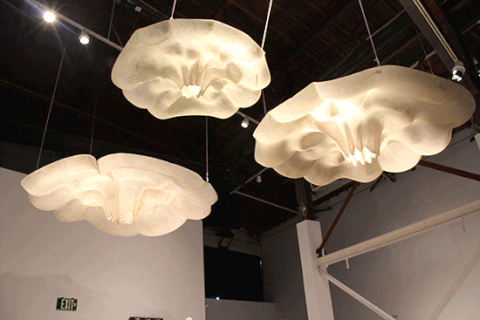 GIF moca - animated GIF on GIFER