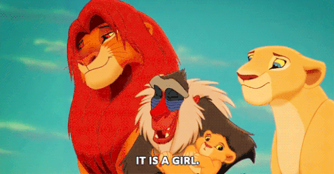 Timon GIF - Find on GIFER