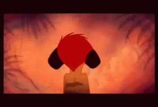 GIF timon - animated GIF on GIFER