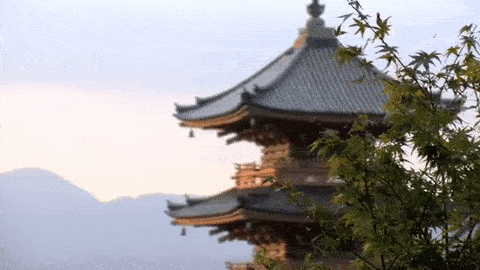 Places GIF - Find on GIFER