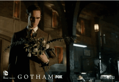Riddler GIF - Find on GIFER