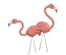 Flamingo GIF - Find on GIFER