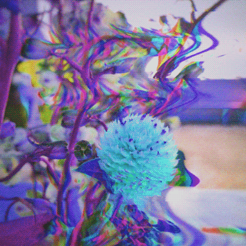 ¡guau! Gif Animado ♡ Victoria Secret Angels ♡ Coquette Darlings