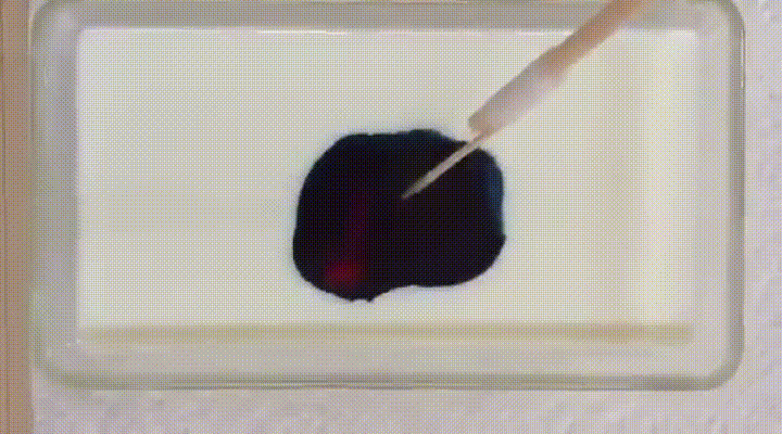 Marangoni effect ya GIF - Find on GIFER