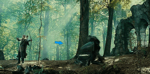 Common sense canary GIF - Find on GIFER
