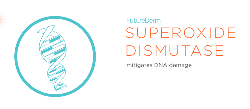 Copper GIF - Find on GIFER