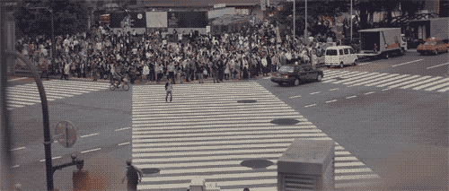 Travel GIF - Find on GIFER