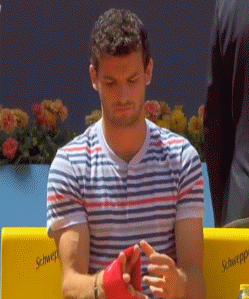 Grigor dimitrov GIF - Find on GIFER