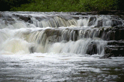 Michigan GIF - Find on GIFER