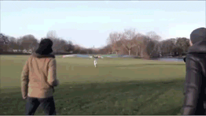 GIF the flying dutchmen - animated GIF on GIFER
