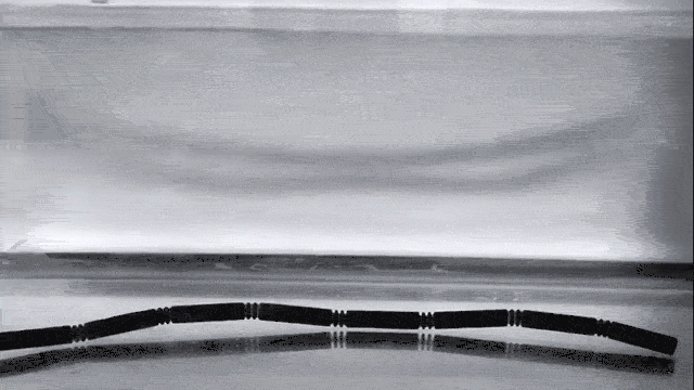 4d GIF - Find on GIFER