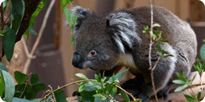 Priceless GIF - Find on GIFER