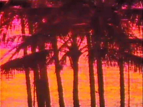 Palm vhs tape GIF - Find on GIFER